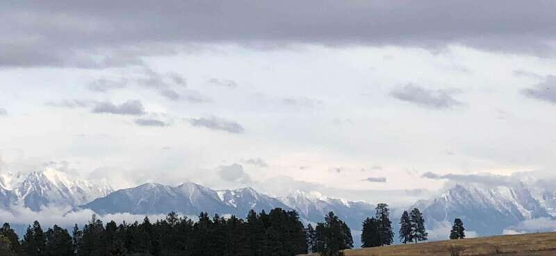 September 2025 British Columbia Rocky Mountain Birding Tour - Final Thoughts: Is It Worth It?
