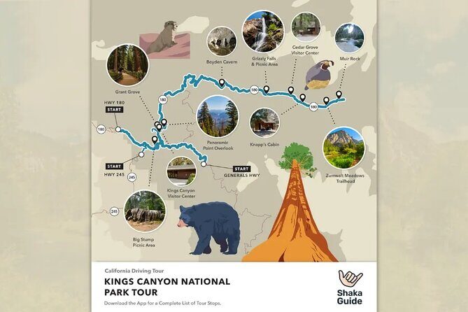 Sequoia and Kings Canyon Audio Tour Self Guide National Park Tour - The Experience at a Glance