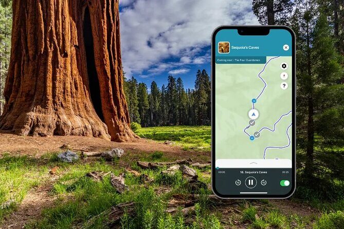 Sequoia and Kings Canyon Audio Tour Self Guide National Park Tour - Why the Value of This Tour Is Impressive