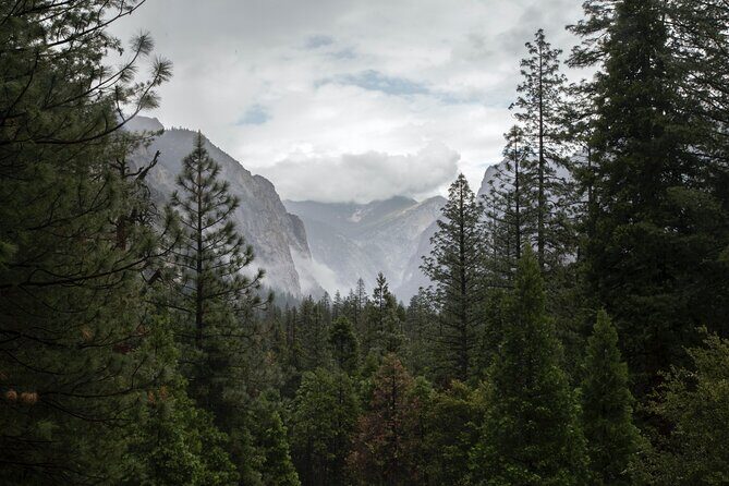 Sequoia Full Day Private Tour and Hike - Who Would Enjoy This Tour?