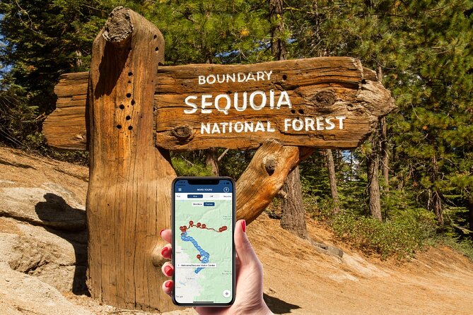 Sequoia & Kings Canyon Np Self-Guided Driving Audio Tour - User Feedback and Experiences