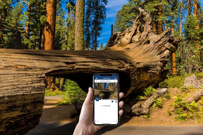 Sequoia & Kings Canyon Np Self-Guided Driving Audio Tour - Practical Information for Visitors