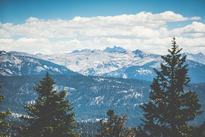 Sequoia & Kings Canyon Two Day Private Tour & Hike - What Makes This Tour Stand Out?