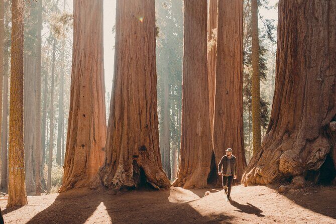 Sequoia & Kings Canyon Two Day Private Tour & Hike - Day 2: Deepening the Experience