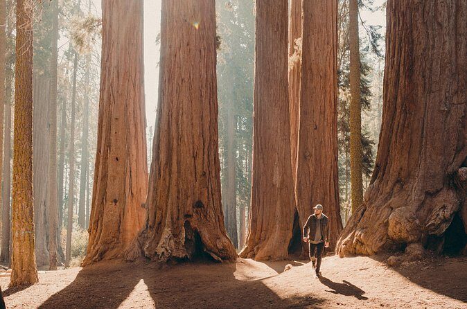 Sequoia & Kings Canyon Two Day Private Tour & Hike - Analyzing the Value