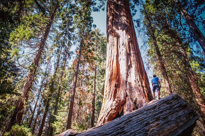 Sequoia & Kings Canyon Two Day Private Tour & Hike - Who Would Love This Tour?