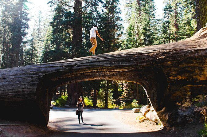 Sequoia & Kings Canyon Two Day Private Tour & Hike - The Sum Up