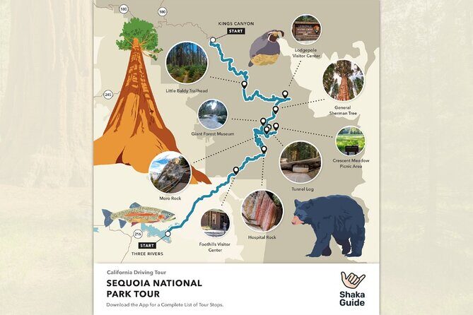 Sequoia National Park Self-Guided Audio Tour - The Value of the Audio Tour