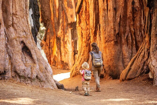 Sequoia National Park Self-Guided Audio Tour - Practical Tips for the Journey
