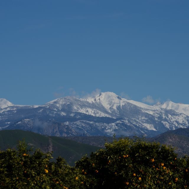 Sequoia National Park: Sherman Tree & Congress Trail Walk - Exploring the Congress Trail