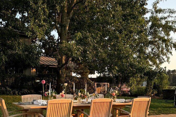 Serene and Romantic Wine Tasting Next to the Vines in Napa Valley - An in-depth Look at the Experience