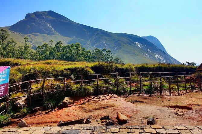 Serene Munnar Retreat: Private Tour from Kochi to the Munnar Hill - What Past Travelers Say