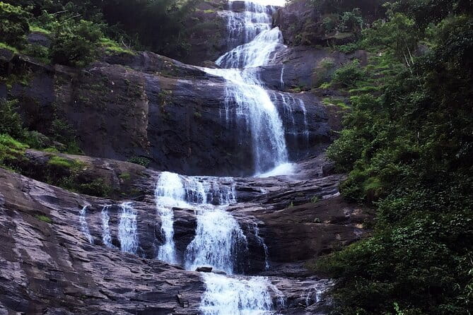 Serene Munnar Retreat: Private Tour from Kochi to the Munnar Hill - FAQs