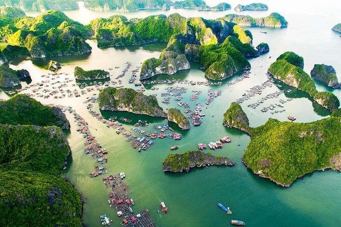 Serenity 1 Day Cruise( Ha Long,Lan Ha Bay and Cat Ba Island) - Possible Drawbacks and Considerations