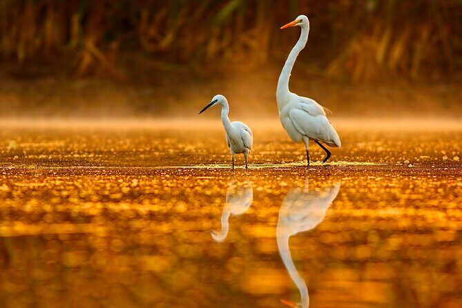 Serenity Cruise to Australia's Everglades - Who Should Consider This Experience?