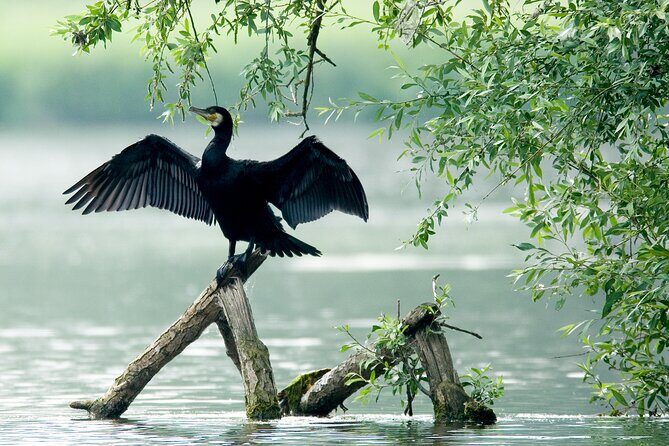Serenity Cruise to Australia's Everglades - Final Thoughts
