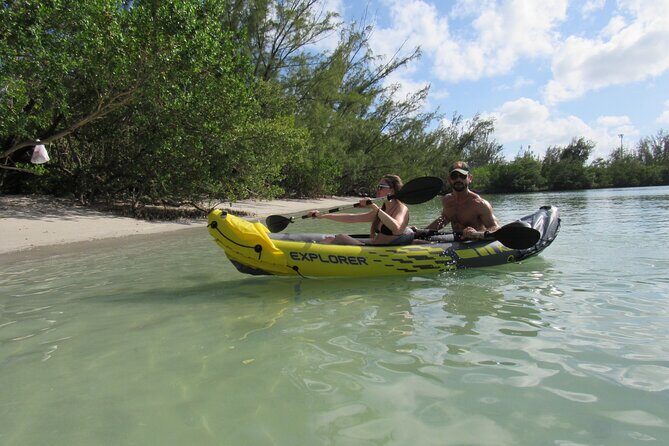 Serenity on the Water Boat Tour & Paddle Board Yoga & Meditation - Key Points