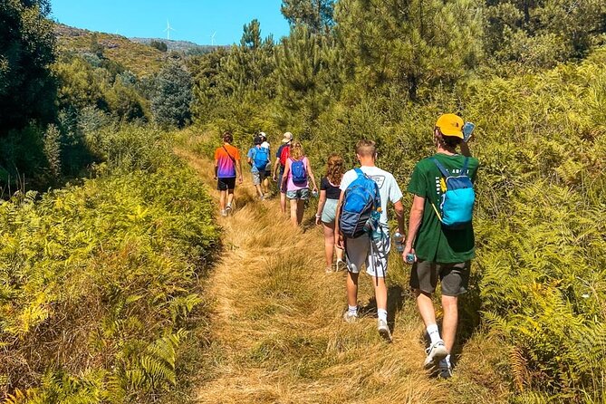 Serra D'Arga Hike, Dive & Dine Like A Local in a Secret Spot - Key Points