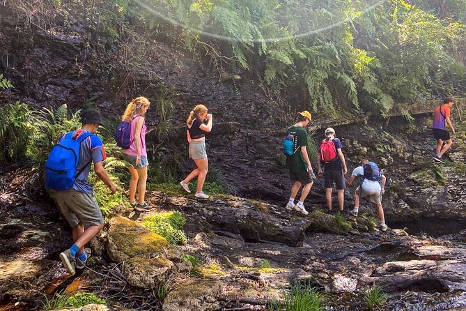 Serra D'Arga Hike, Dive & Dine Like A Local in a Secret Spot - Savoring Local Portuguese Cuisine