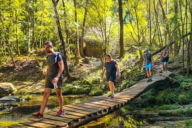 Serra D'Arga Hike, Dive & Dine Like A Local in a Secret Spot - Booking Your Adventure