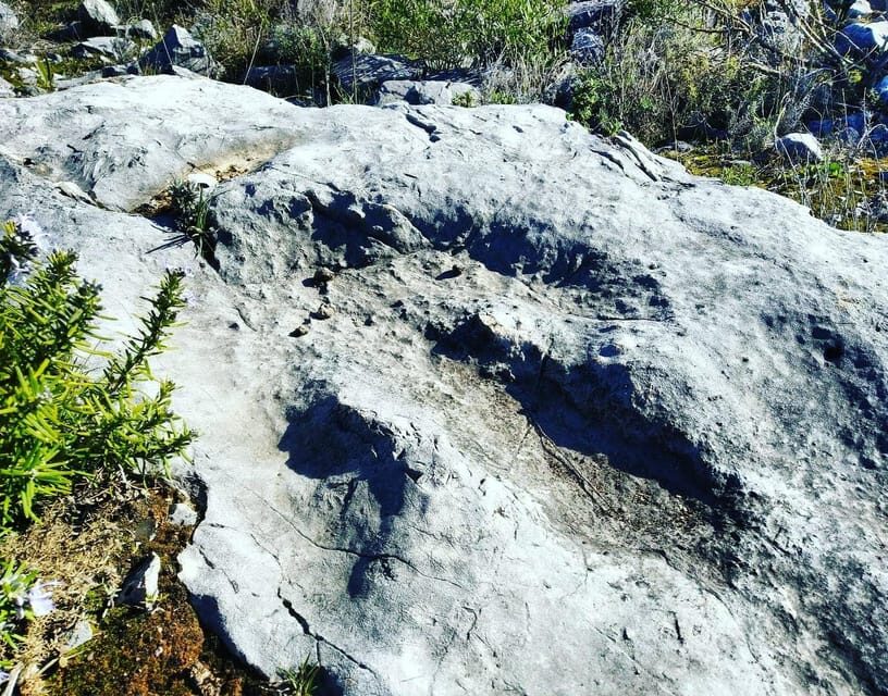 Serras de Aire e Candeeiros: Nature & Geology Exploration - Discovering Serras de Aire e Candeeiros: A Natural and Geology Wonderland