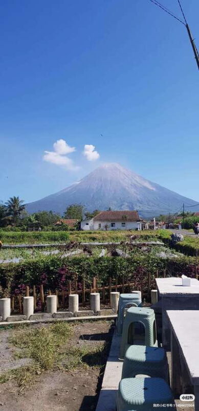 Serving Private tour Bromo-Ijen-tumpaksewu - What’s Included and What’s Not