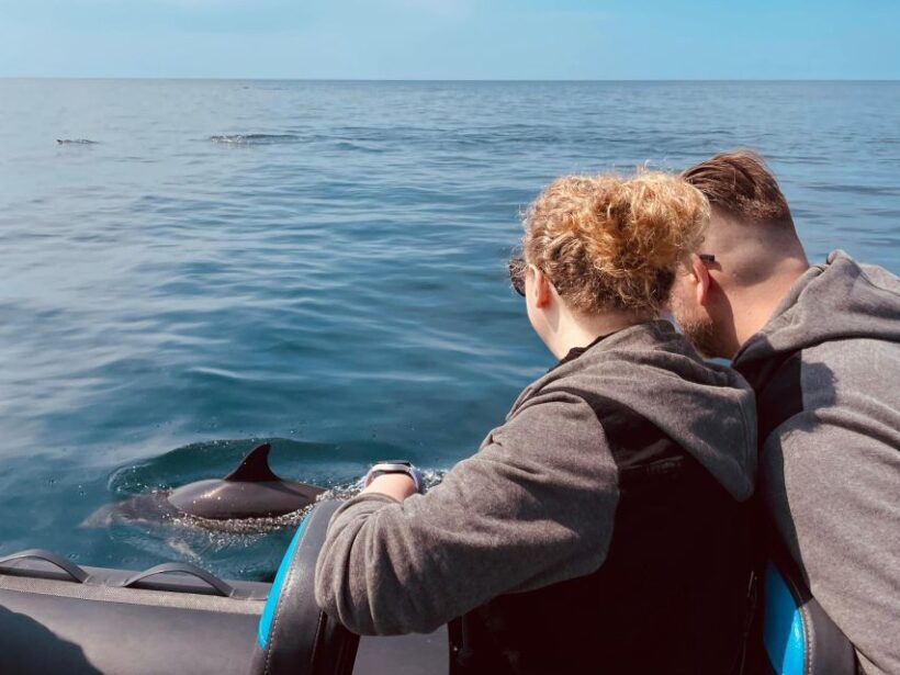 Sesimbra: Arrábida Dolphin Watching Boat Tour with Biologist - Final Thoughts