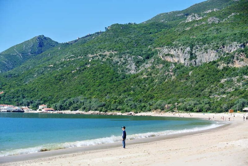 Sesimbra & Arrábida National Park Tour with 5 Wines Tasting - A Detailed Look at the Tour