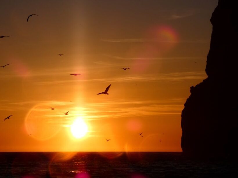 Sesimbra: Arrábida Natural Park Cabo Espichel Sunset Tour - The Overall Value