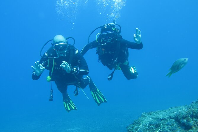 Sesimbra Dive Discovery - Why Consider Sesimbra Dive Discovery?