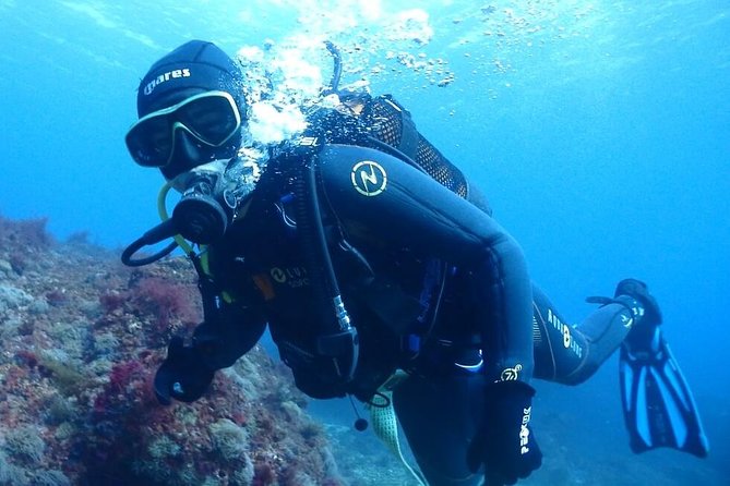 Sesimbra Dive Discovery - The Itinerary in Detail