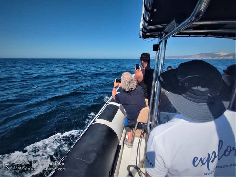 Sesimbra: Dolphin Watching Boat Tour with Biologist Guide - Introduction: Discovering Sesimbra’s Marine Magic