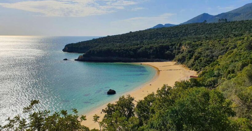 Sesimbra e Arrábida Natural Park: 1 Day Tour & Wine Tasting - A Closer Look at the Tour Experience