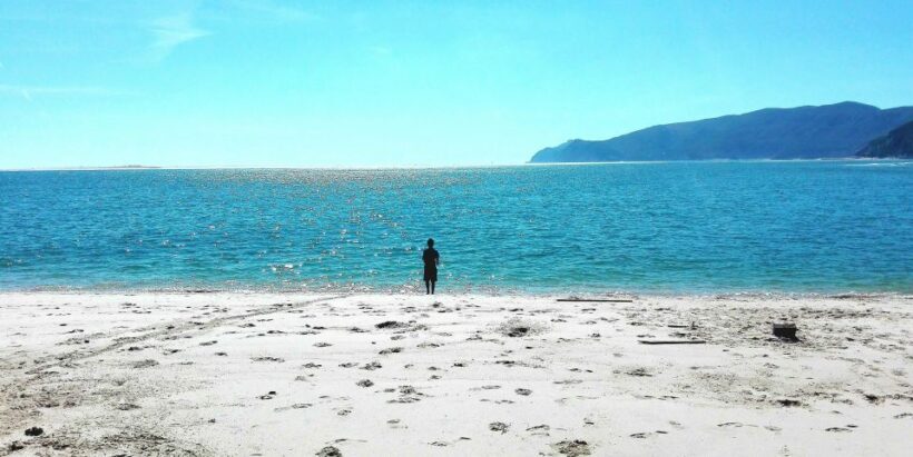 Sesimbra e Arrábida Natural Park: 1 Day Tour & Wine Tasting - Who Will Love This Tour?