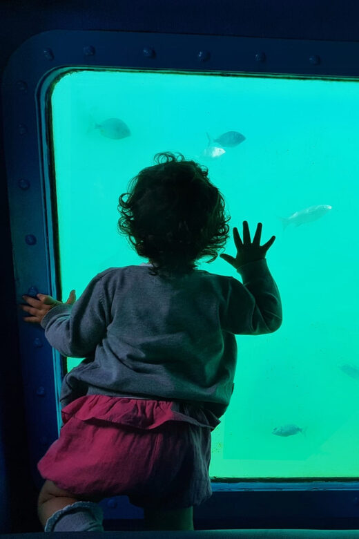 Sesimbra: Family Friendly Boat Sea Tour w/ Submarine Vision - The Experience on the Boat