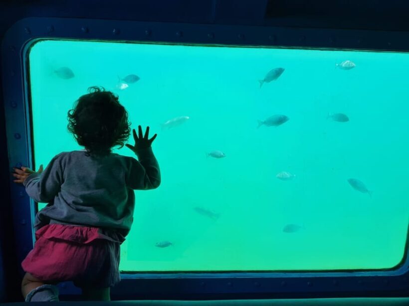 Sesimbra: Family Friendly Boat Sea Tour w/ Submarine Vision - Pricing and Value