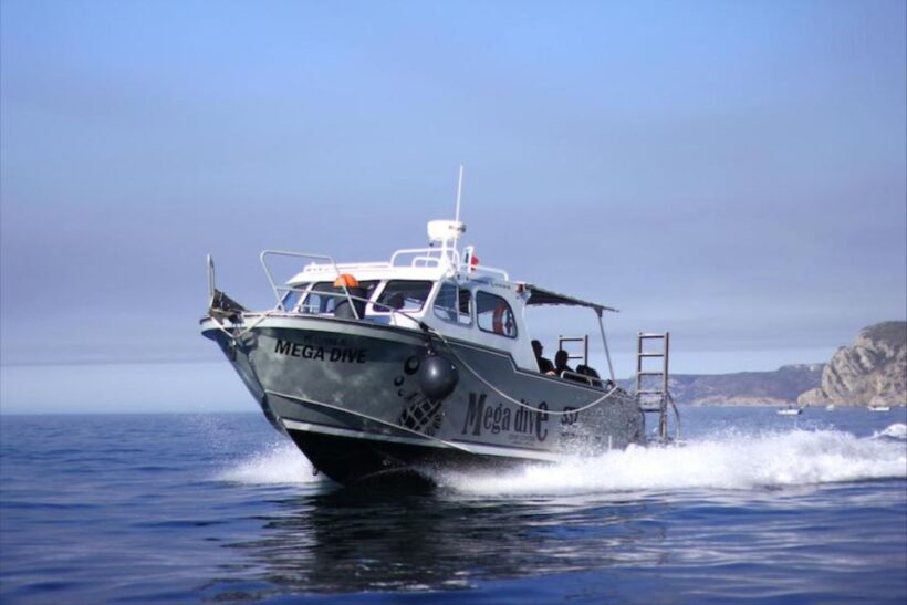 Sesimbra: First Scuba Diving Experience in the Ocean - Practical Tips for Participants