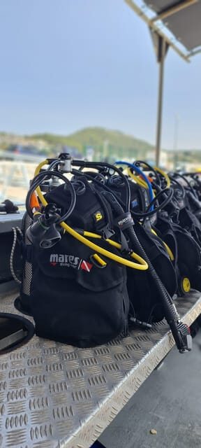 Sesimbra: First Scuba Diving Experience in the Ocean - The Sum Up