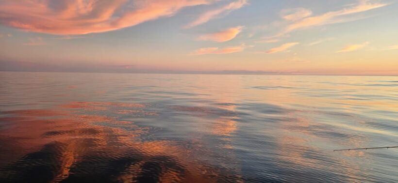 Sesimbra: Rote of Wonders/ Private Boat Tour along the cost - Practical Tips for Your Trip