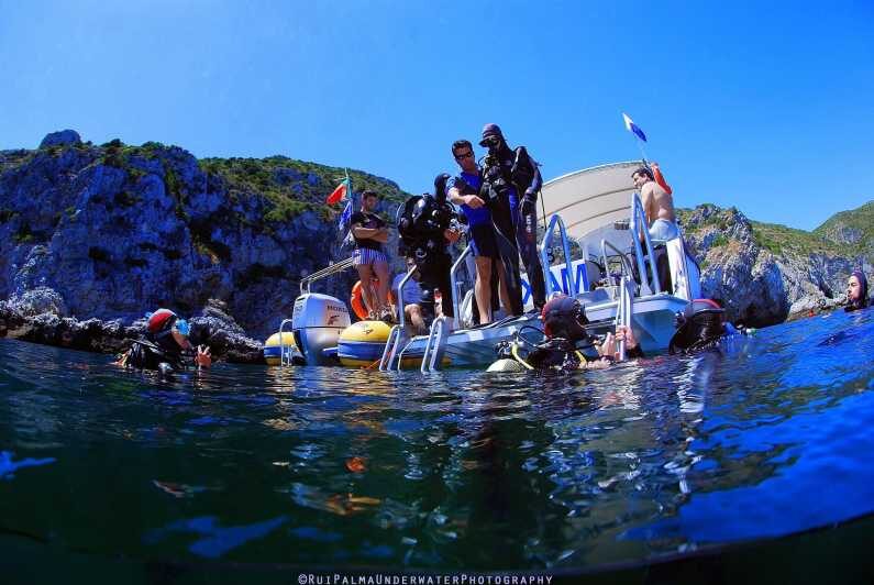 Sesimbra: Scuba Diving Experience for Beginners - The Sum Up