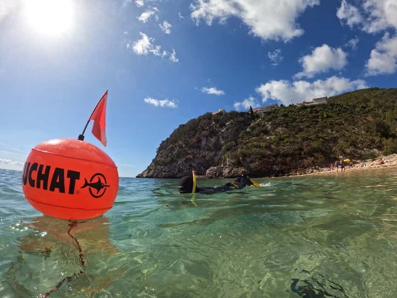 Sesimbra: Snorkeling experience in Arrábida Marine Reserve - Key Points