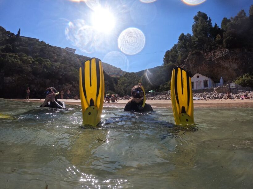 Sesimbra: Snorkeling experience in Arrábida Marine Reserve - What Travelers Are Saying