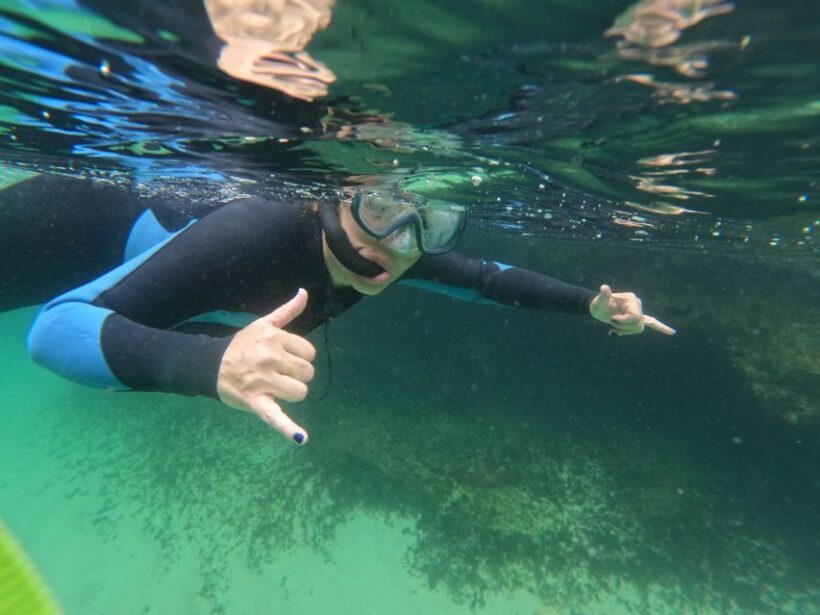 Sesimbra: Snorkeling experience in Arrábida Marine Reserve - Final Thoughts: Is It Worth It?