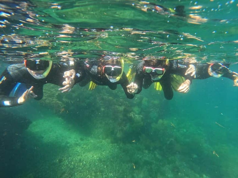 Sesimbra: Snorkeling experience in Arrábida Marine Reserve - FAQ