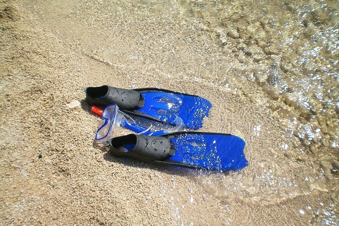 Sesimbra Wild Beach Tour From Lisbon - Experiencing Ribeira Do Cavalo Beach