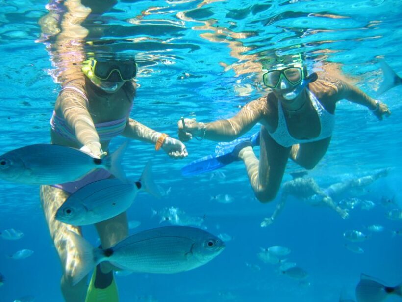 S'Espalmador and Formentera: Snorkeling Trip by RIB Boat - Key Points