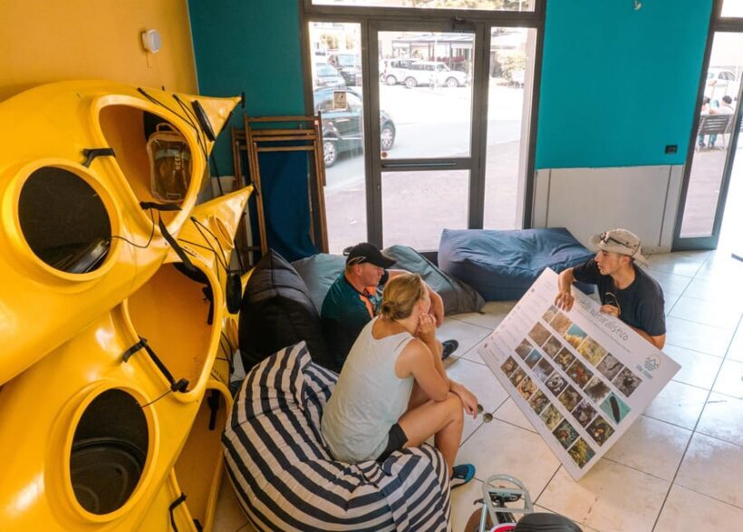Sestri Levante: SUP & Snorkeling Experience - Authentic Reviews & Insights