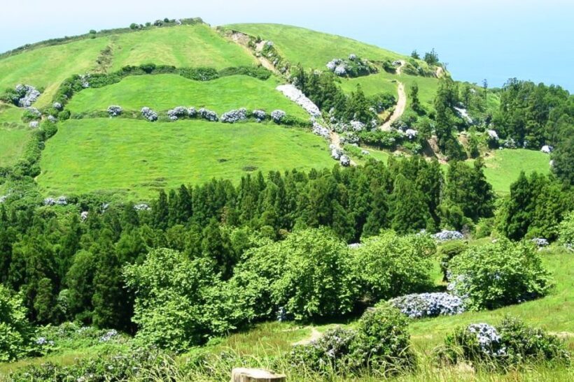 Sete Cidades Azores 4x4 Day Tour from Ponta Delgada - Who Should Consider This Tour?