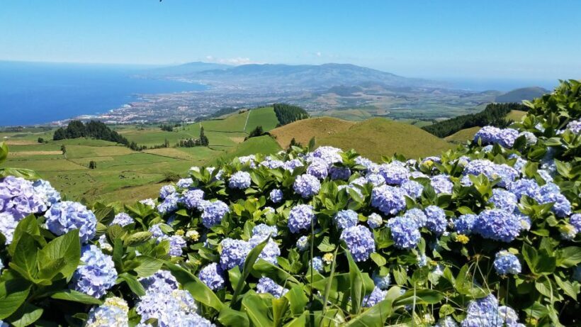 Sete Cidades - Half Day Tour - A Closer Look at the Itinerary