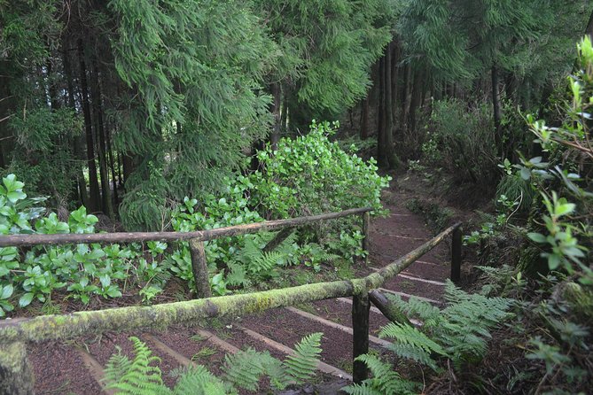 Sete Cidades, Hike Serra Devassa and Boca do Inferno - Who Should Book This Tour?